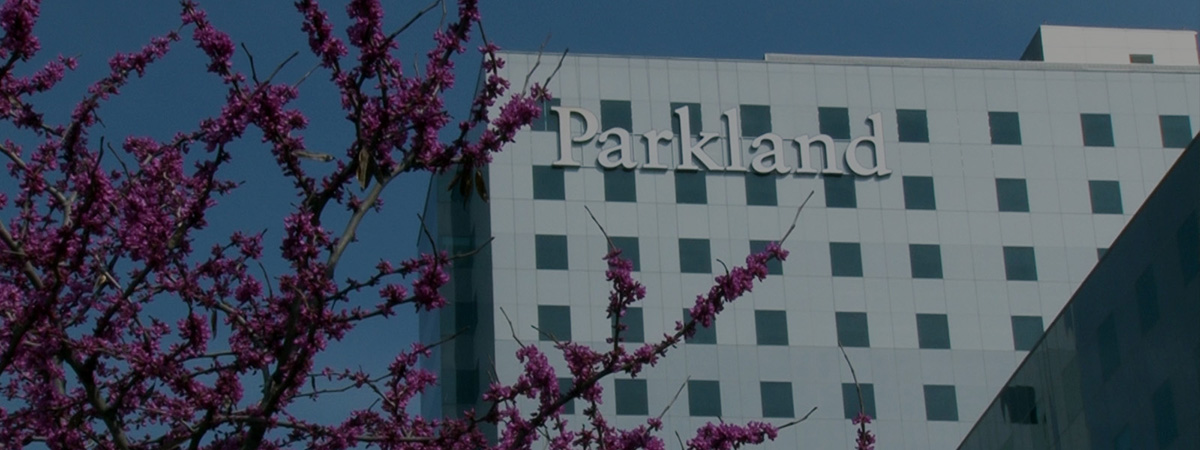 Case Study - Parkland Health Foundation | Our Work | Insite